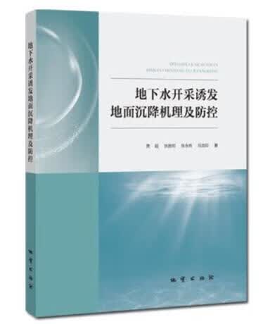 地下水开采诱发地面沉降机理及防控 地质出版社