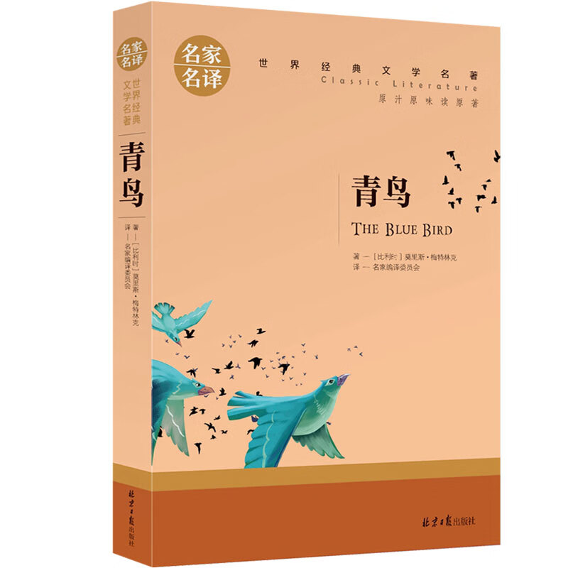 天空在脚下小学生四年级必读经典书目启发绘本河北教育 埃米莉阿诺德麦卡利著孙晴峰译四五年级小 青鸟 【四年级版】