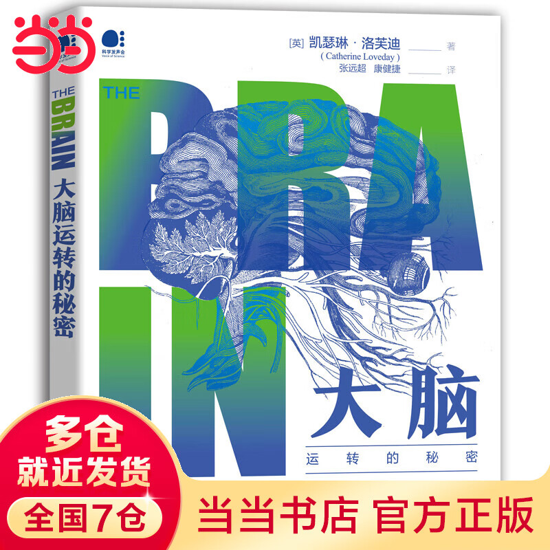 大脑运转的秘密