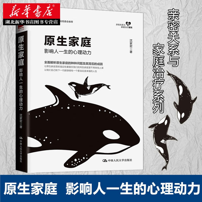 原生家庭 影响人一生的心理动力 沈家宏 如何修补儿童性格缺陷 育儿书籍父母家庭教育孩子的书性格心理学樊登