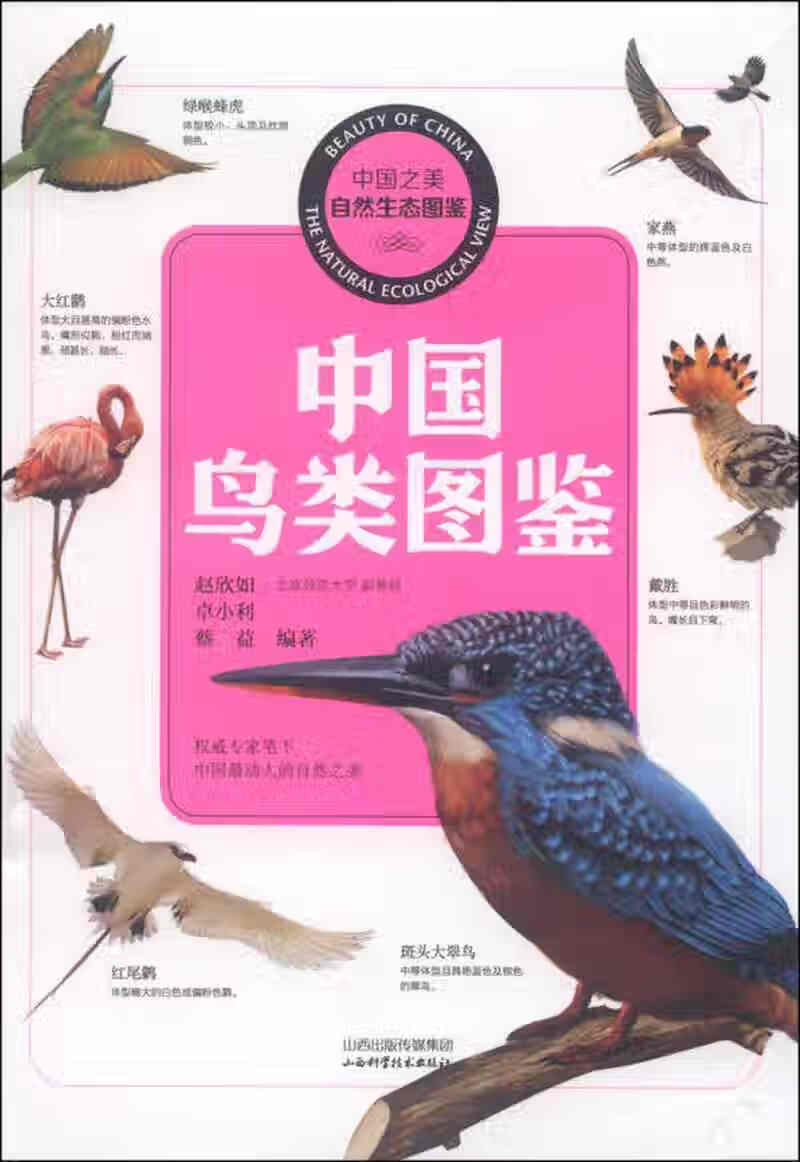 中国鸟类图鉴9787537742948【好书】