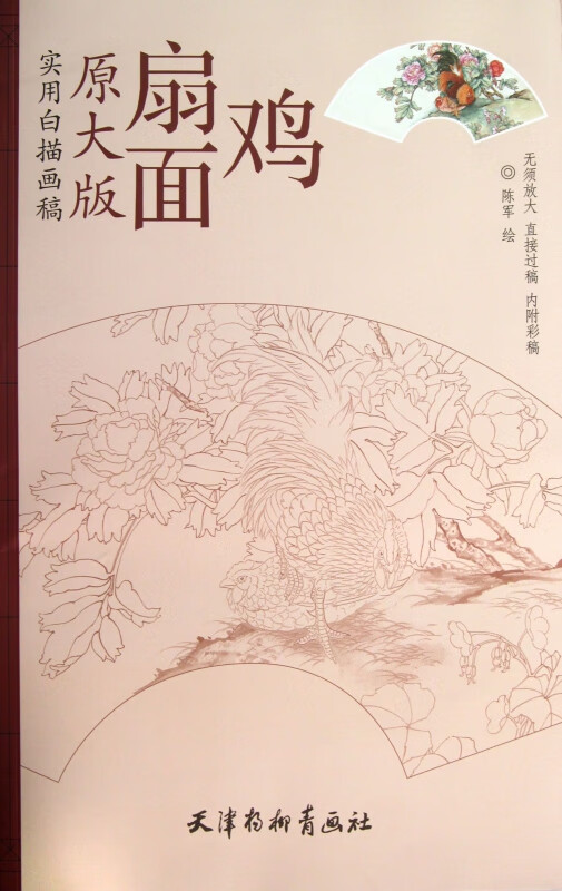 扇面鸡(原大版实用白描画稿)