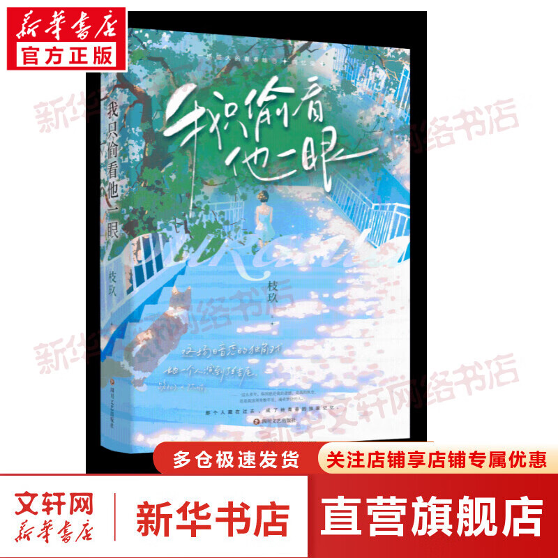 我只偷看他一眼 图书