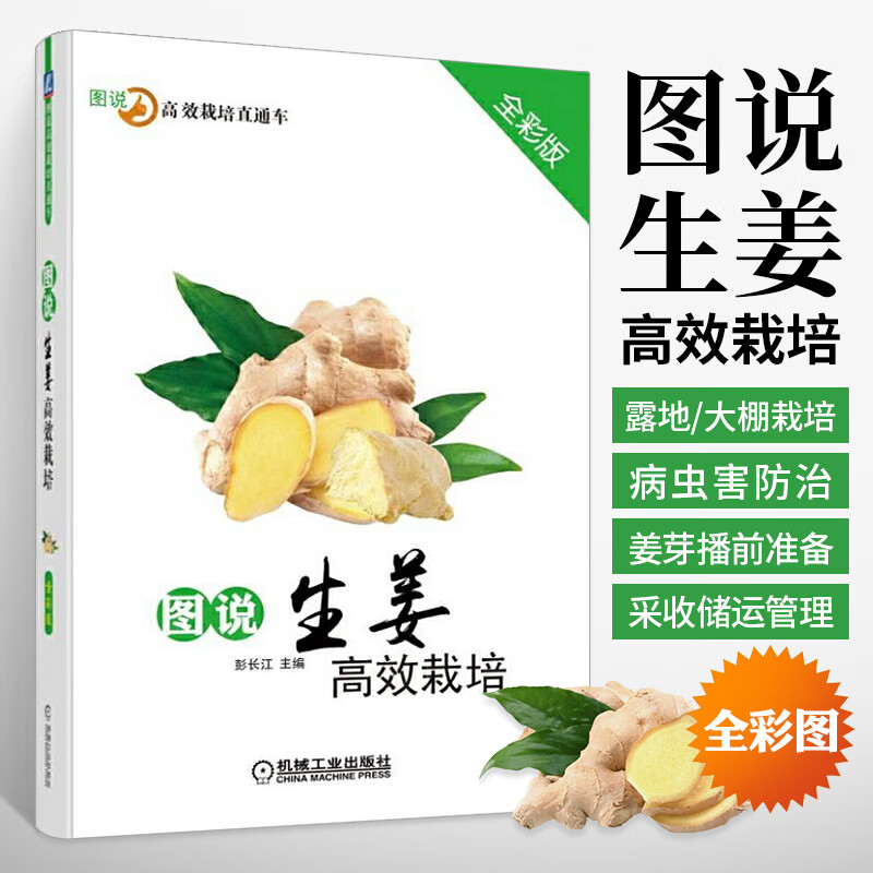 图说生姜高效栽培 全彩版 生姜栽培种植技术大全书籍 高产优质生姜种植书 病虫害防治技术 科学育种繁