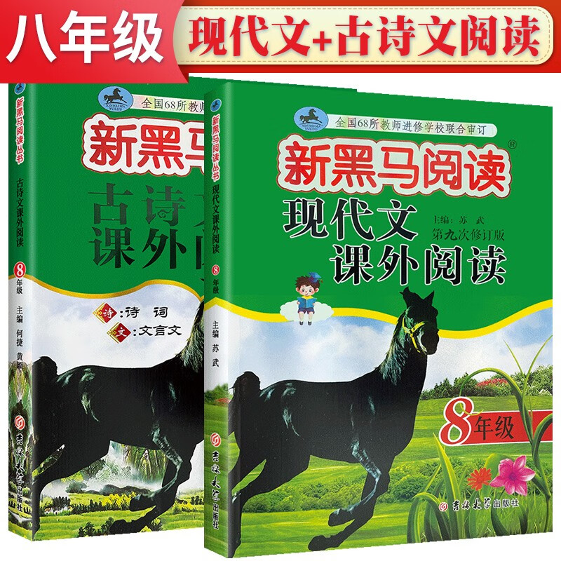 套装2册 2024新黑马阅读八年级语文现代课外文阅读+古诗文课外阅读 阅读理解八年级语文教材同步课外文言文现代文古诗文阅读训练