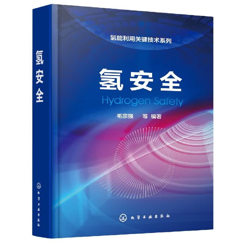 氢安全(精)/氢能利用关键技术系列