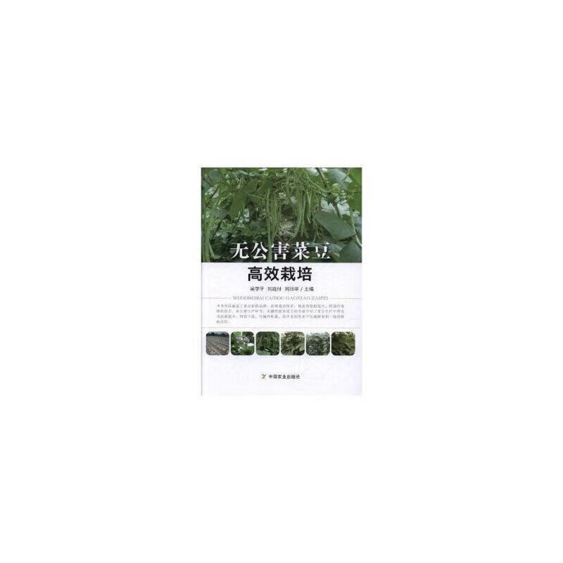 无公害菜豆高效栽培