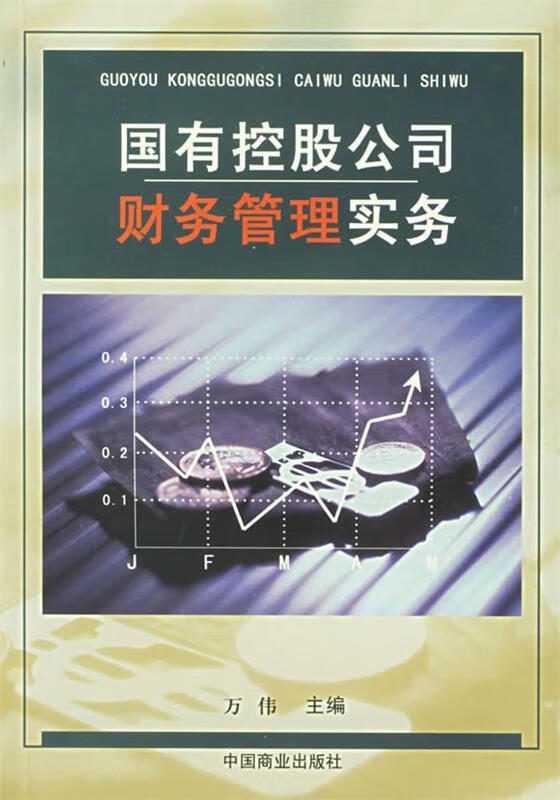 国有控股公司财务管理实务
