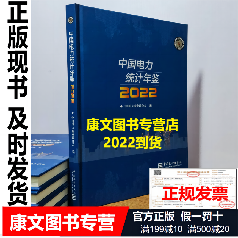 2023年【新品】2022中国电力统计年鉴 2022中国电力统计年鉴