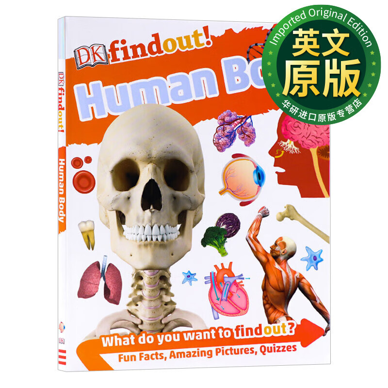 DKfindout! Human Body DK小发现 人体 儿童科学百科 全彩图解指南 英文原版 英文版