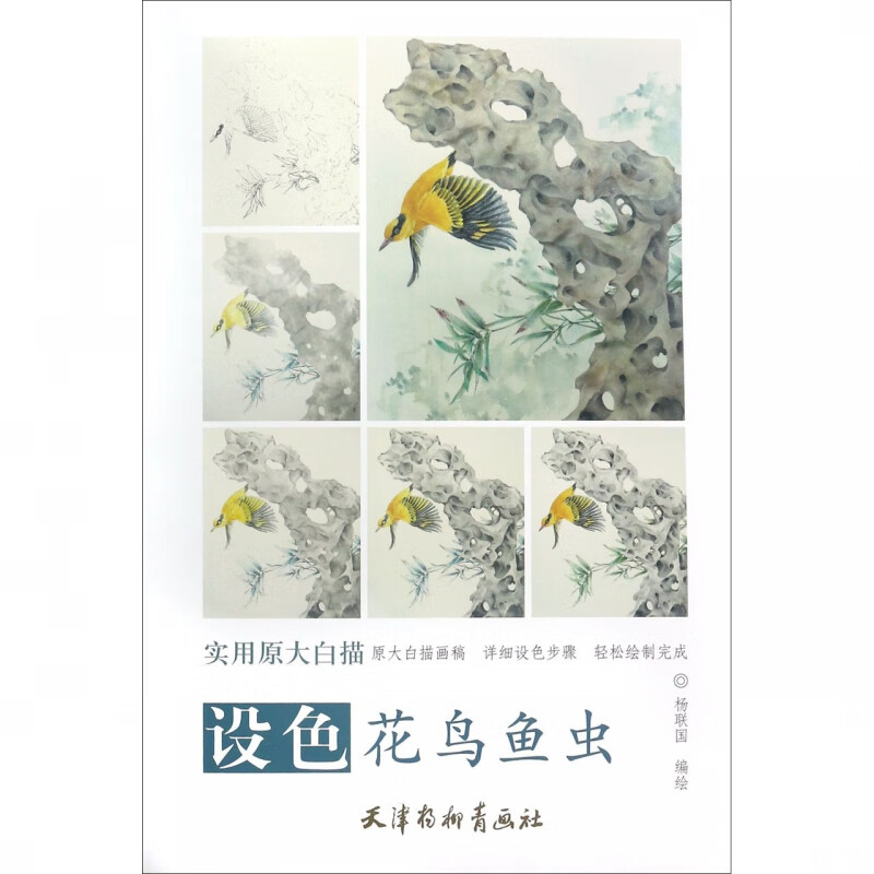 设色花鸟鱼虫(实用原大白描)