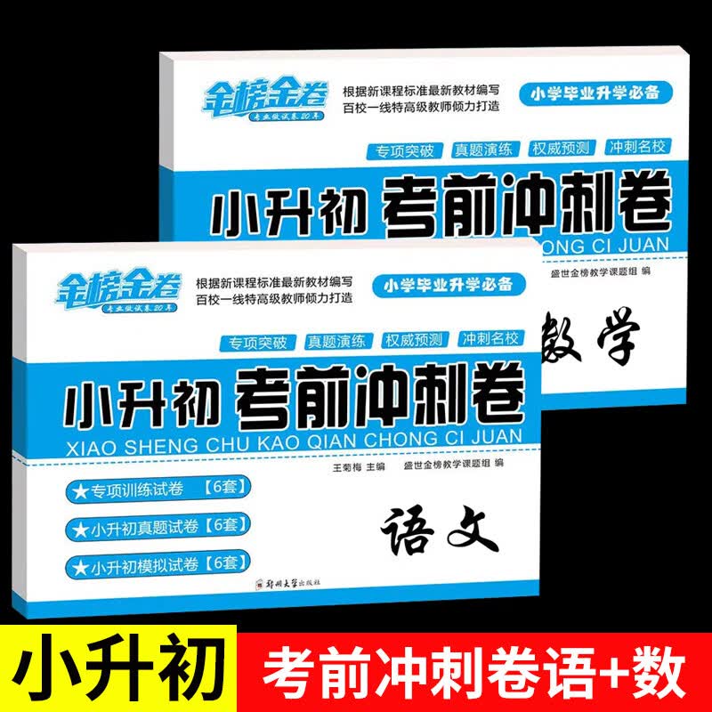 小升初试卷总复习人教版北师大多版本通用数学+语文两本六年级毕业考试复习资料2022小学升初中考试真题卷 小升初真题卷2023考前冲刺卷