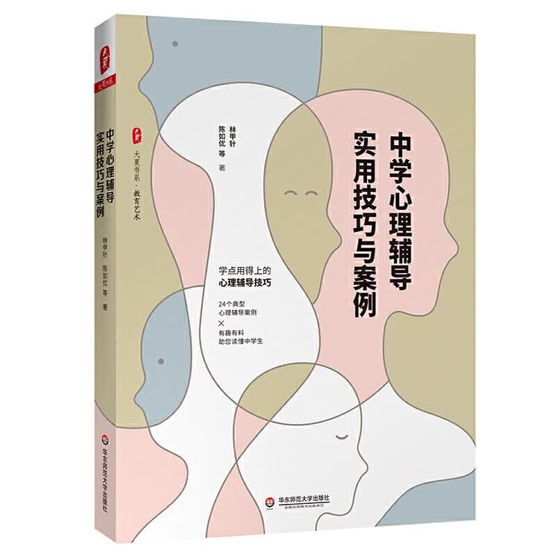 正规中学心理辅导实用技巧与案例--大夏书系 (教育类)