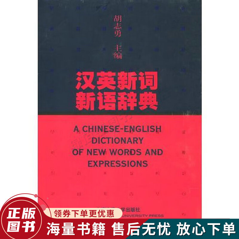 汉英新词新语辞典