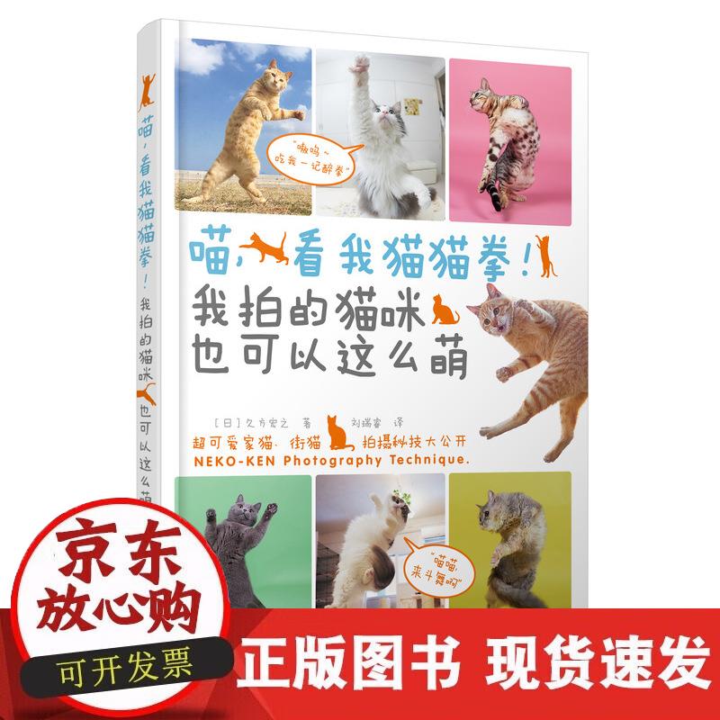【直发】喵,看我猫猫拳我拍的猫咪也可以这么萌
