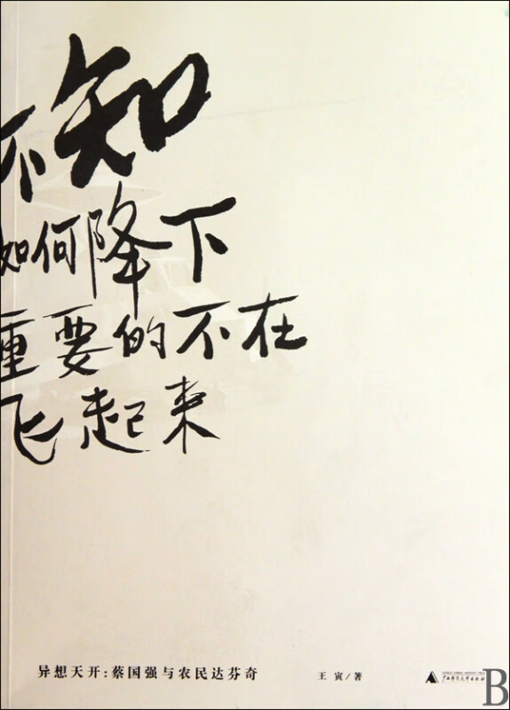 异想天开--蔡国强与农民达芬奇