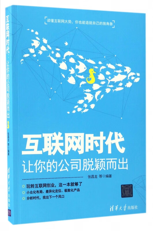 互联网时代(让你的公司脱颖而出)