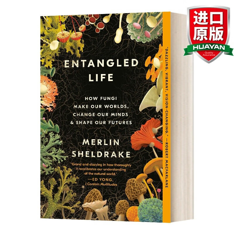 Entangled Life 英文原版 纠缠的生命 真菌如何创造我们的世界 英文版 进口英语原版书籍