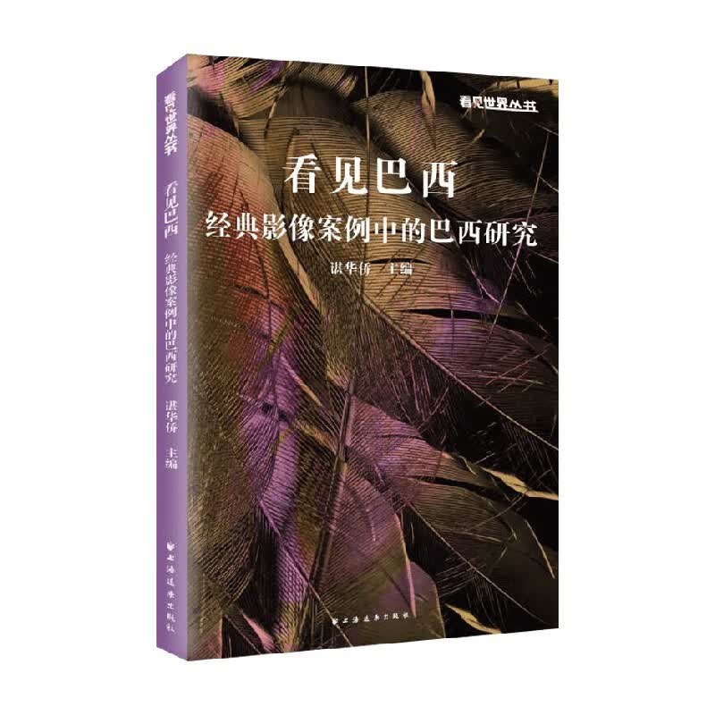 看见巴西 经典影像案例中的巴西研究 谌华侨 著 历史