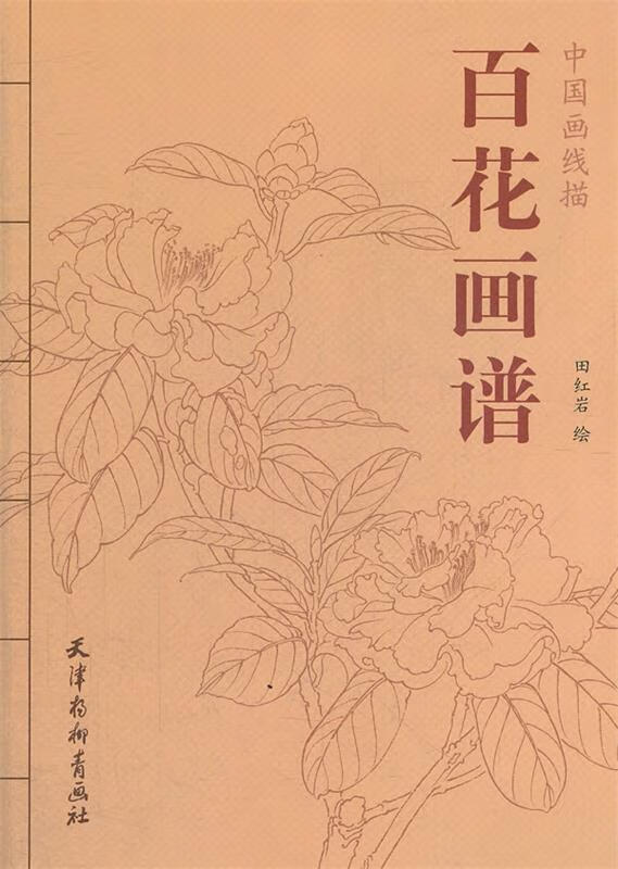 百花画谱 田红岩 绘