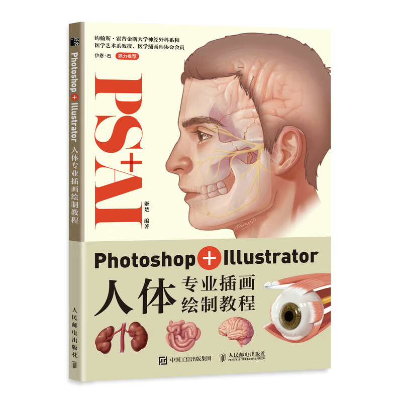 Photoshop+Illustrator人体专业插画绘制教程（绘客出品）