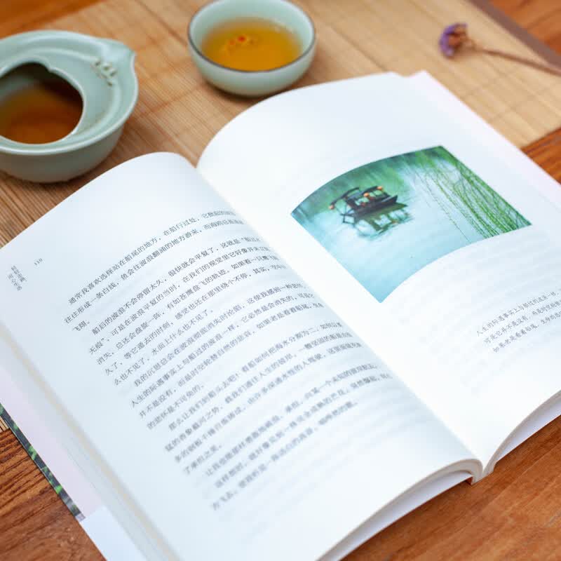 轻轻走路,用心生活