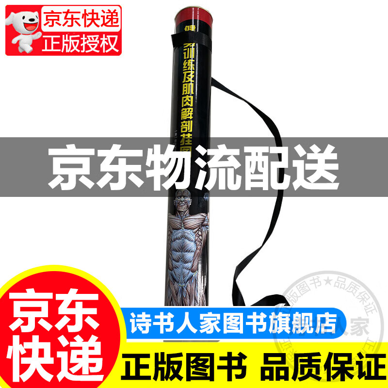 健身训练及肌肉解剖图谱