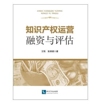 知识产权运营融资与评估 王悦,张丽瑛 著