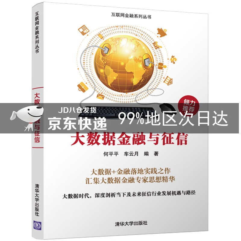 大数据金融与征信/互联网金融系列丛书