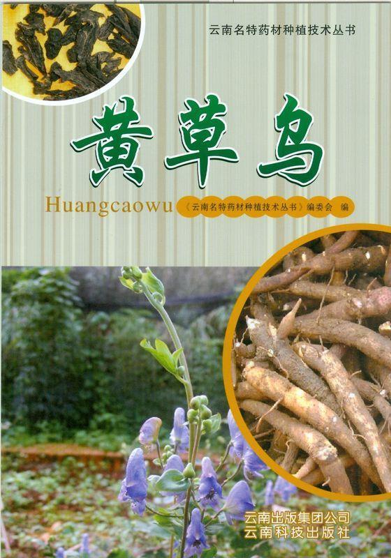 云南名特药材种植技术丛书:黄草乌