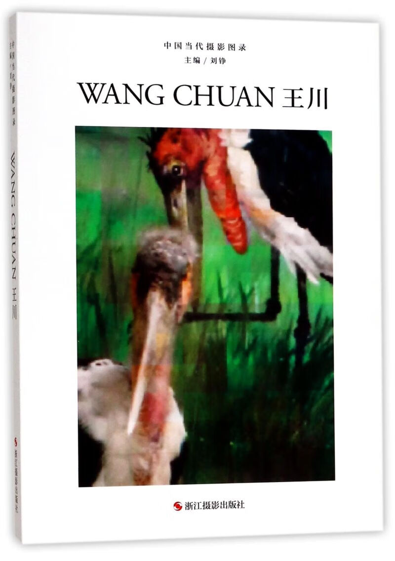 王川(精)/中国当代摄影图录