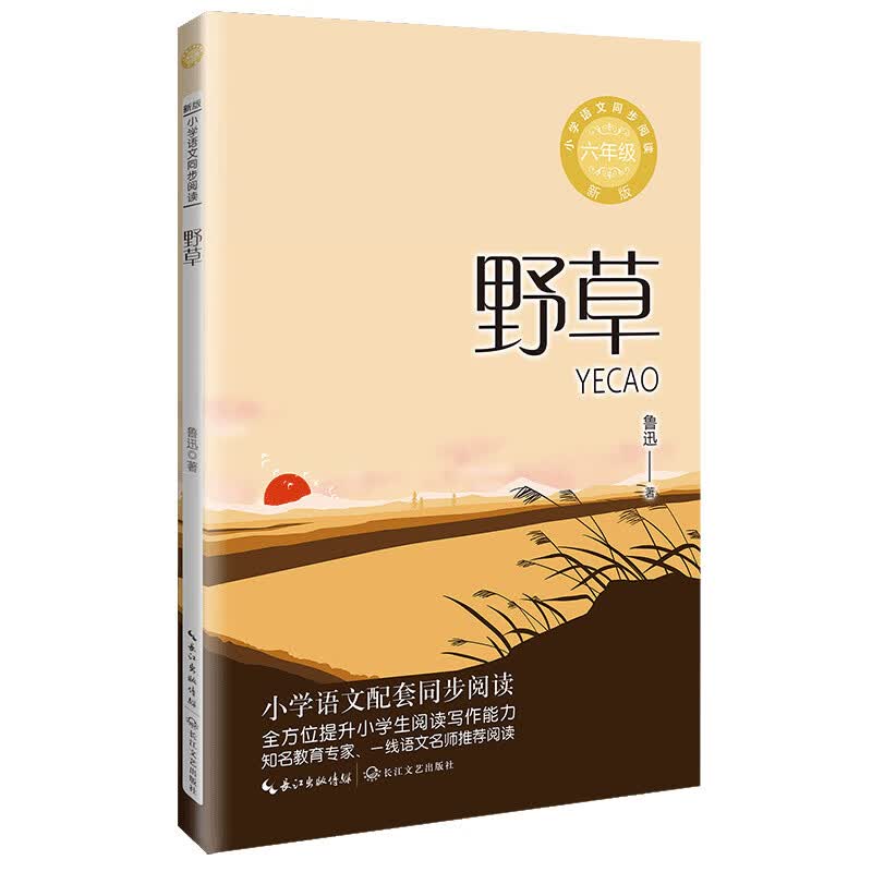 （六年级)野草（新版·小学语文同步阅读书系）