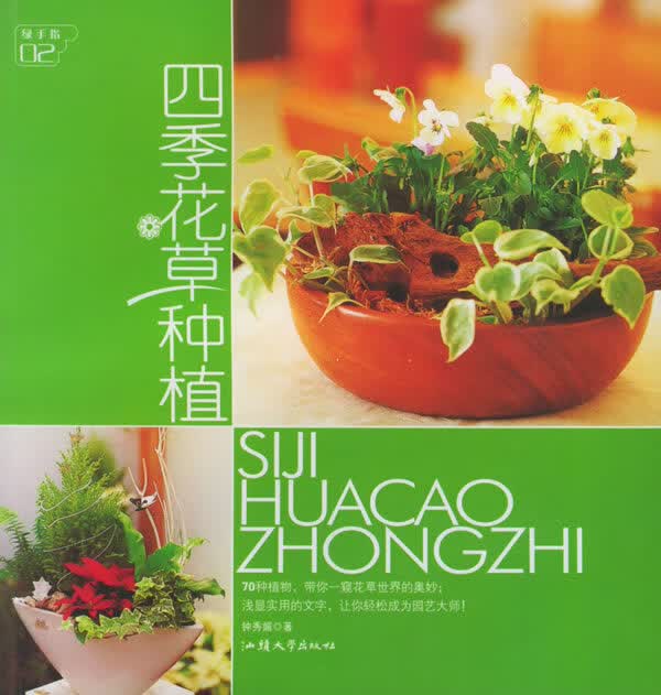 四季花草种植 钟秀媚