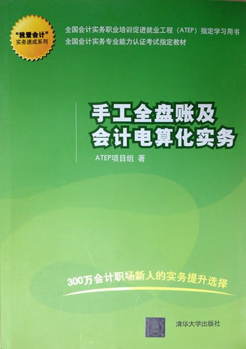 手工全盘账及会计电算化实务