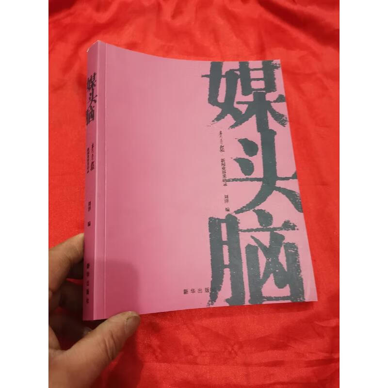 媒头脑：《青春报》新闻业界采访录  (16开)