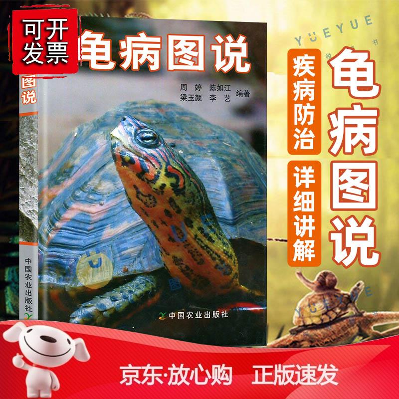 龟病图说 周婷乌龟大全乌龟养殖李艺金钱龟安布闭壳龟金钱龟乌龟养龟书籍大全养龟技术书籍病龟处理方