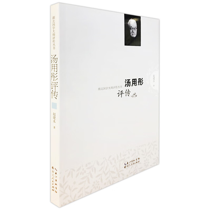 汤用彤评传