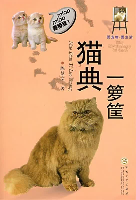 猫典一箩筐 陈慧文 著