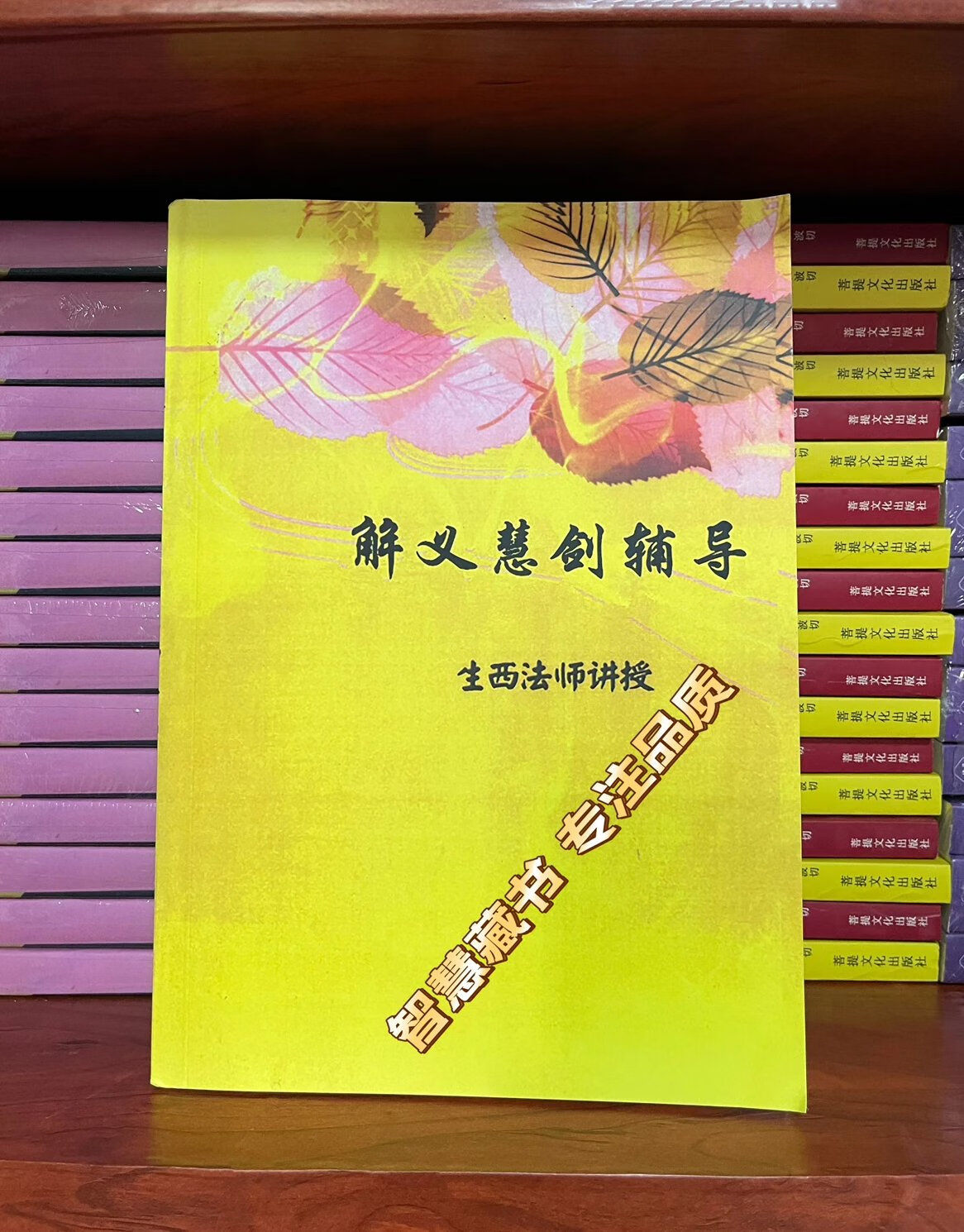 新品 解义慧剑组合 原文讲记辅导 再版高质量 解义慧剑原文