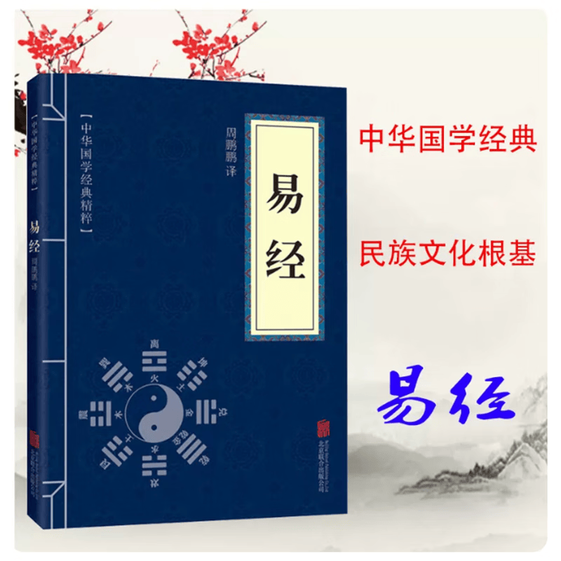 易经原文版 中华国学哲学经典 易经真的很容易 天干地支 五行八卦 易经全解 入门基础 白话版全集 古人智慧z4