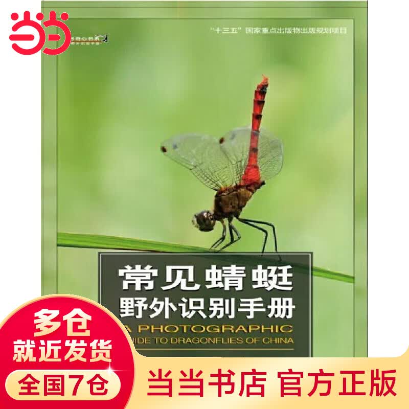 常见蜻蜓野外识别