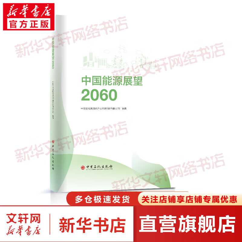 中国能源展望2060 图书