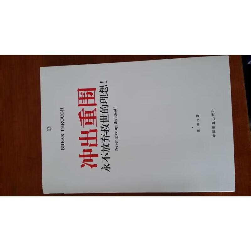冲出重围：永不放弃救世的理想！ 王冲 著 中国商业出版社