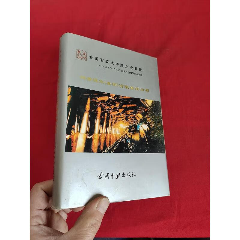 鹤壁煤业有限责任公司(中国国情丛书)  【大32开,精装】