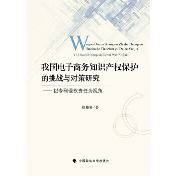 我国电子商务知识产权保护的挑战与对策研究:以专利侵权责任为视角