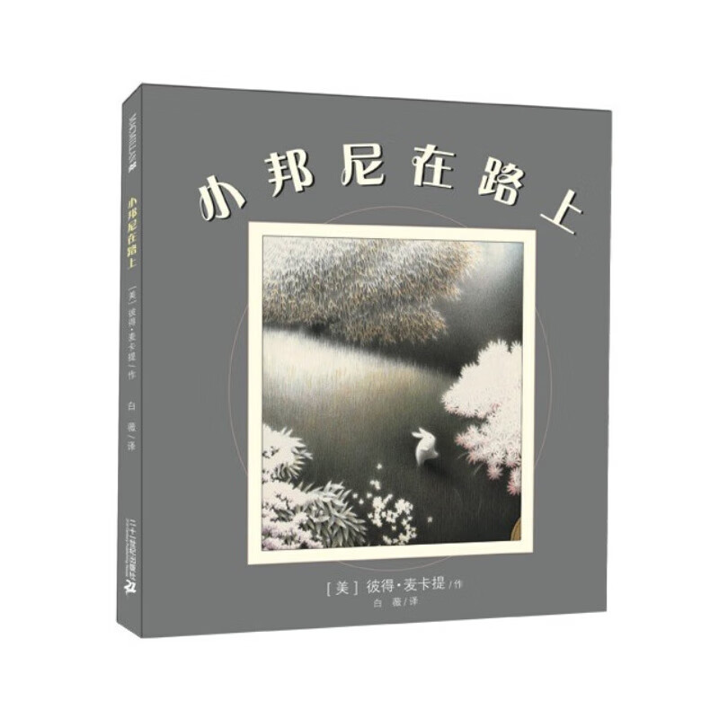 小邦尼在路上(精)