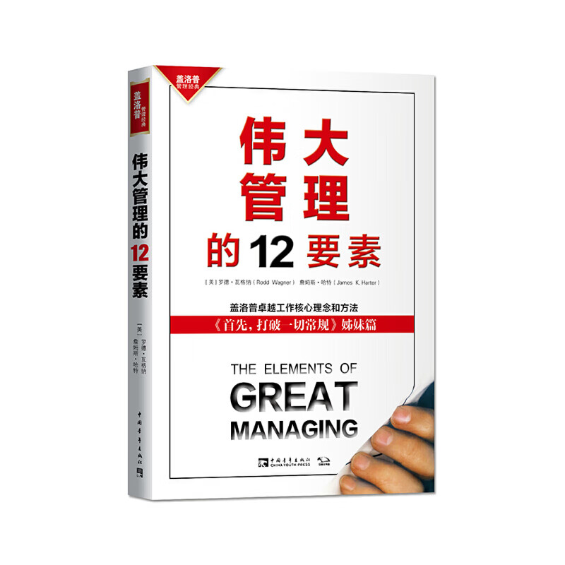 伟大管理的12要素：《首先，打破一切常规》姊妹篇 盖洛普问题分析与卓越工作法