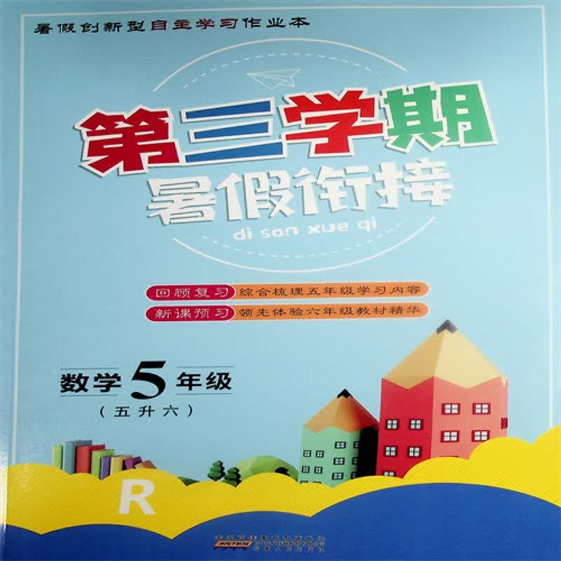 2023版 第三学期 暑假衔接5升6年级数学 人教版 全国通用