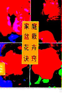 家庭盆栽花卉诀窍【特惠】