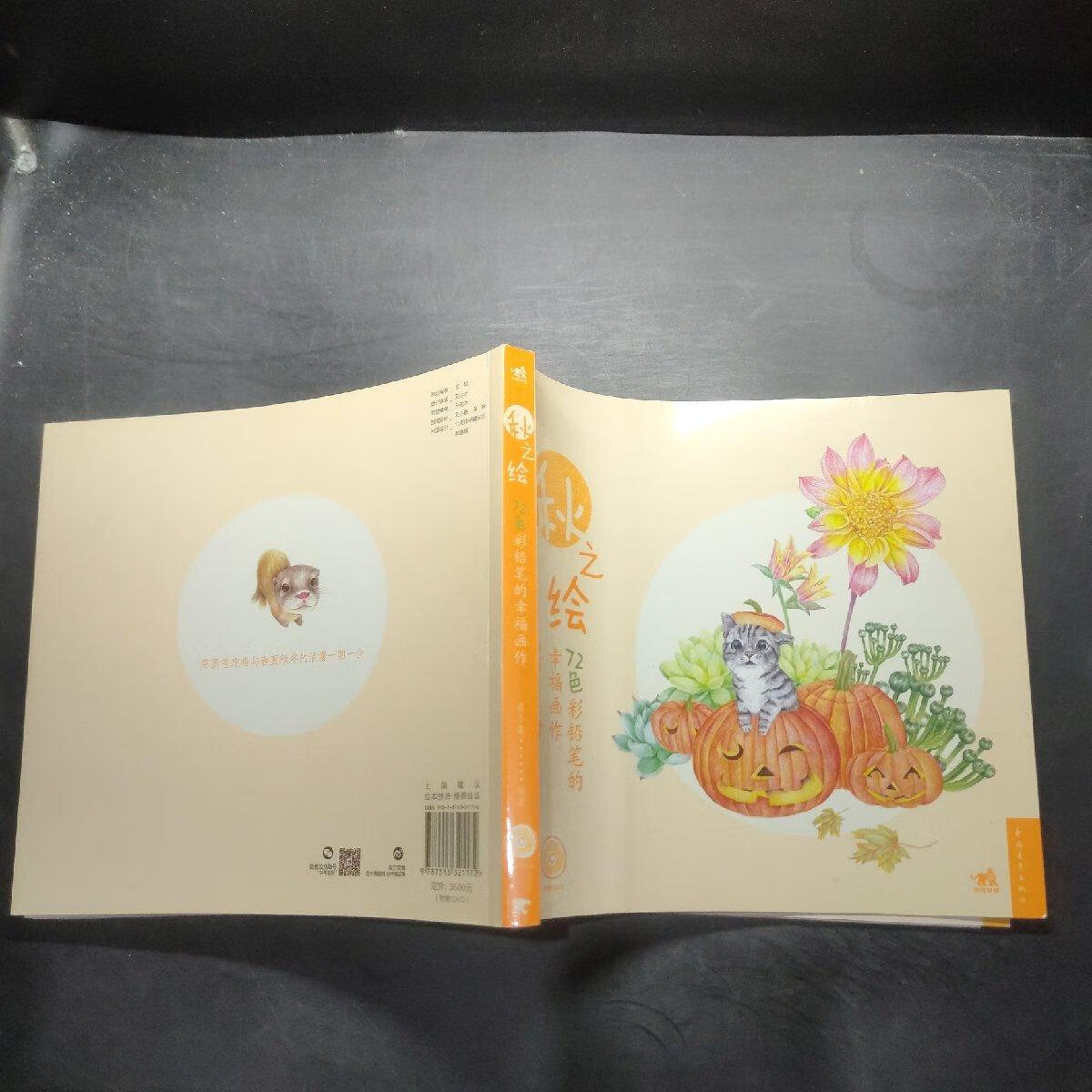 【保证 可开发票】72色彩铅笔的幸福画作：秋之绘